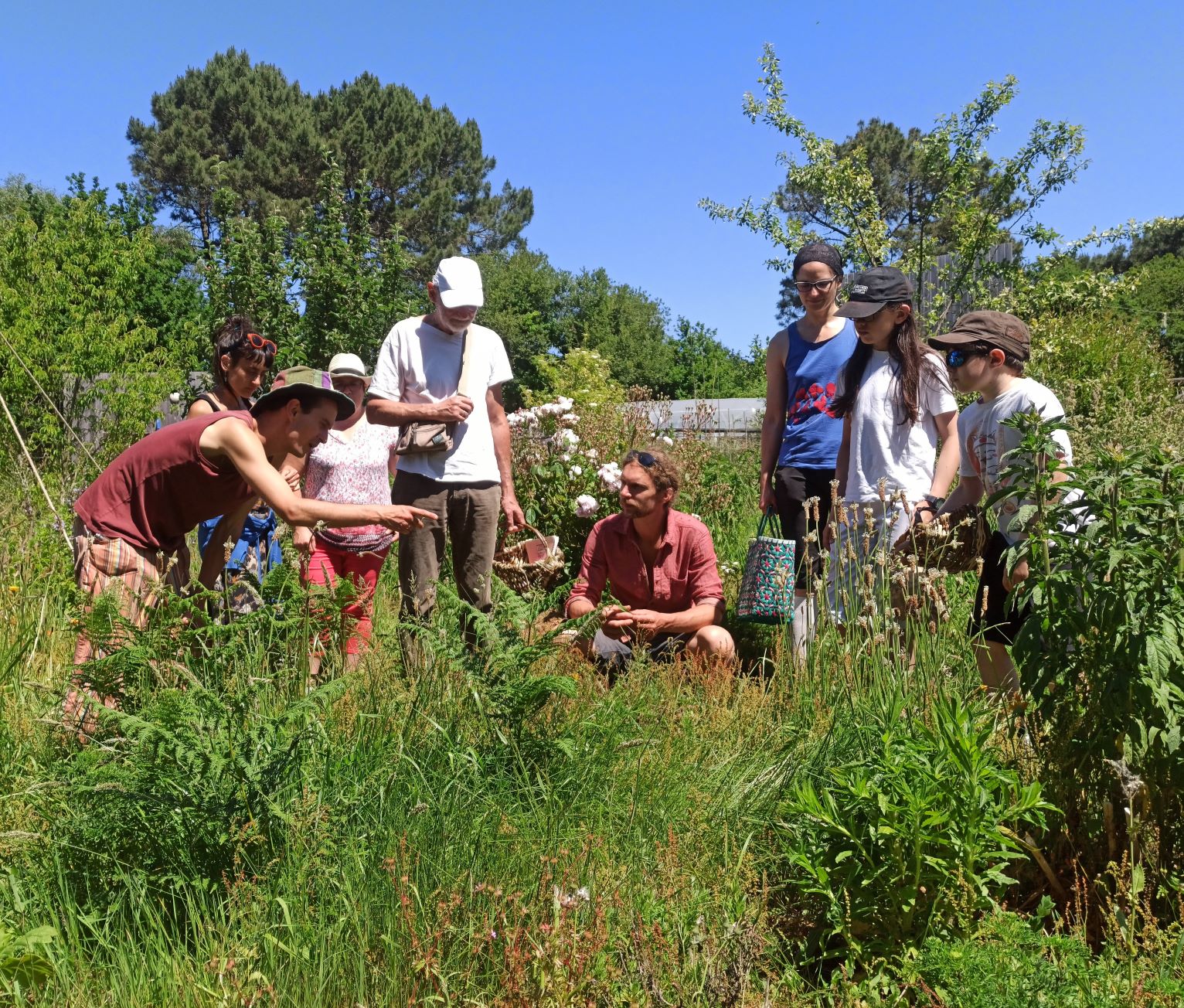 Atelier “Cueillette et cuisine" : Apprendre à cuisiner les plantes ...